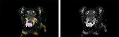 Photo Tips and Recommendations - Walmart